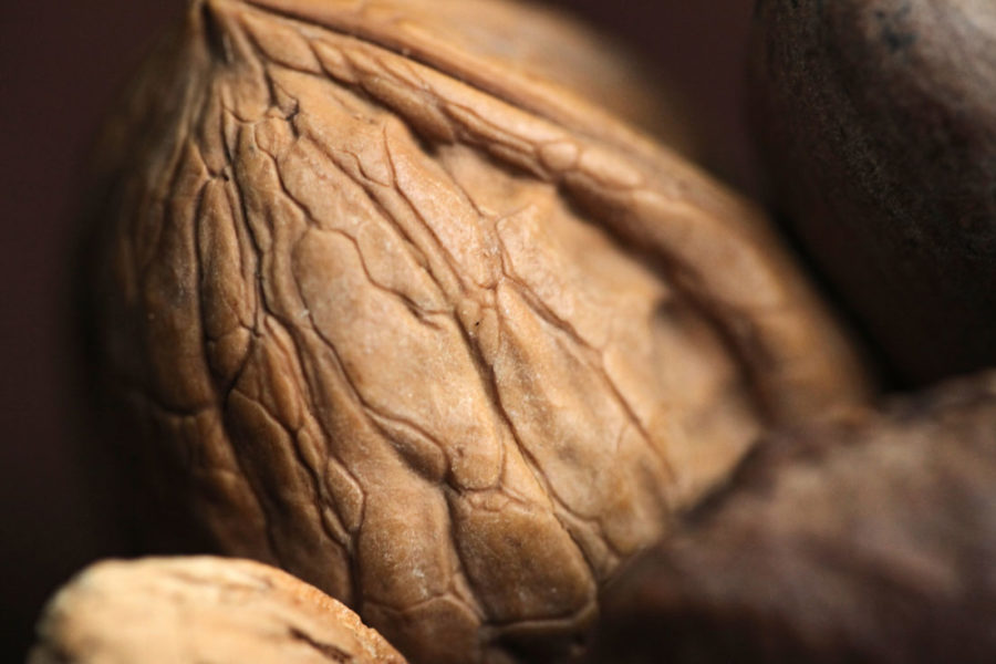 Cracked Nuts - Asano Designs